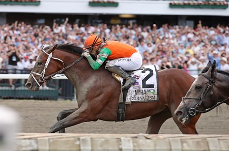 Journalism - Horse Profile - BloodHorse