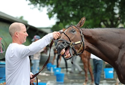 Journalism - Horse Profile - BloodHorse