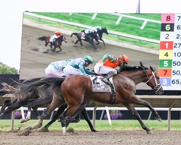 Journalism - Horse Profile - BloodHorse