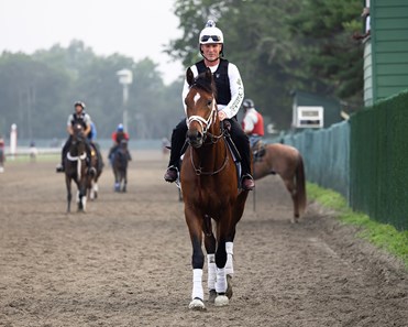 Journalism - Horse Profile - BloodHorse