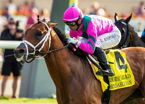 Rispoli a Traveling Rider This Summer - BloodHorse