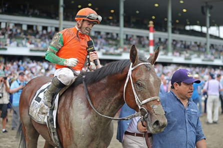 Journalism - Horse Profile - BloodHorse