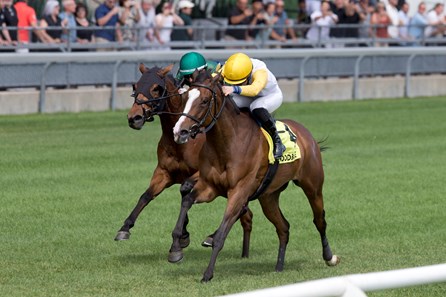 Ready for Shirl - Horse Profile - BloodHorse