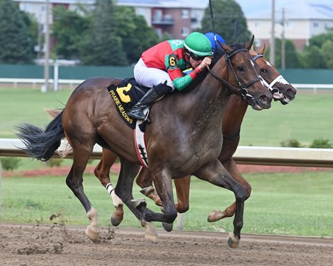 Inglis Digital July Includes Stakes-Winning Juveniles - BloodHorse