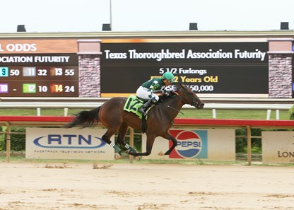 Lanaluah - Horse Profile - BloodHorse