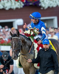 Sovereignty - Horse Profile - BloodHorse