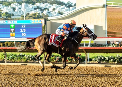 Fierceness - Horse Profile - BloodHorse