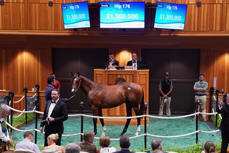 Progeny of Flightline Soar at Saratoga Sale - BloodHorse