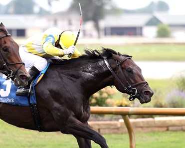 Litigation - Horse Profile - BloodHorse