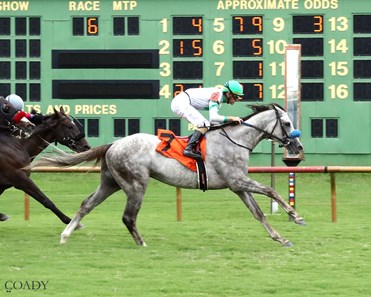So Special - Horse Profile - BloodHorse