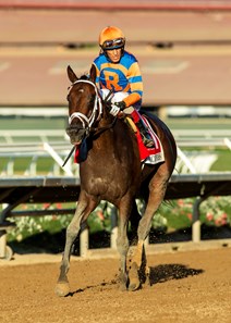 Fierceness - Horse Profile - BloodHorse