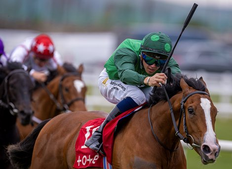 Group-Winning Green Sense Among Entrants for Goffs Sale - BloodHorse