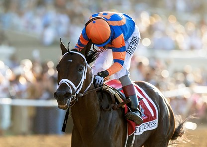 Fierceness - Horse Profile - BloodHorse