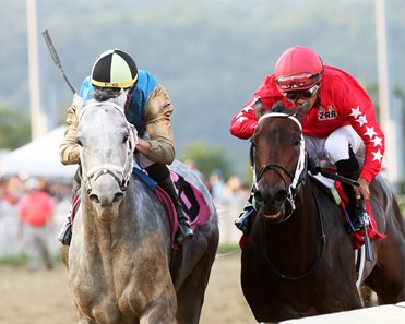 Hit Show - Horse Profile - BloodHorse