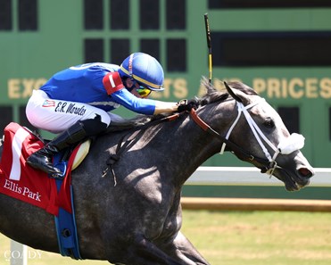 Multiplication - Horse Profile - BloodHorse