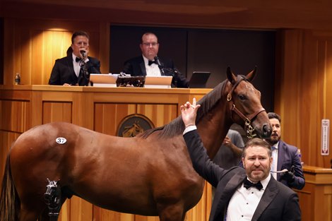 Winchell Goes to $2.7 Million for Son of Gun Runner - BloodHorse
