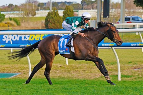 Treasurethe Moment Announces Return With Memsie Win - BloodHorse