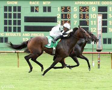 Litigation - Horse Profile - BloodHorse