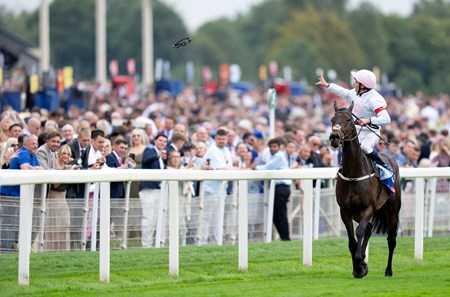 Ethical Diamond (IRE) - Horse Profile - BloodHorse