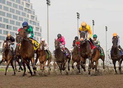 Mansetti - Horse Profile - BloodHorse