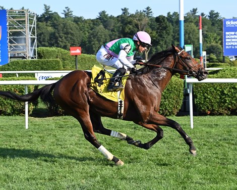 Mott Sends Out Spiced Up for Upset Win in Mahony - BloodHorse