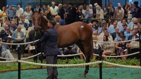 $2.7M Gun Runner Tops Session 1 at F-T Saratoga - Video - - BloodHorse