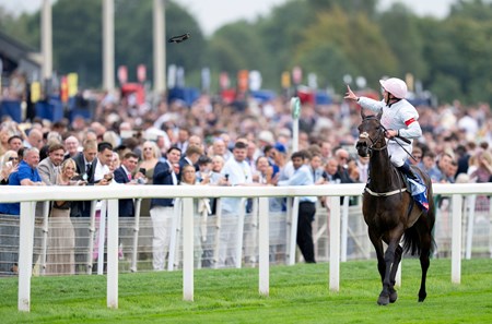 Ethical Diamond (IRE) - Horse Profile - BloodHorse