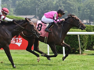 Equibase | Horse Racing | Horse Racing Entries | Horse Racing Results ...