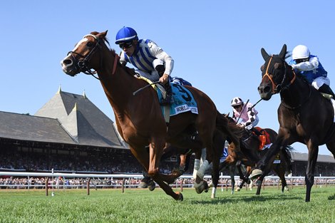 World Beater Eyes $500K Prize in Old Dominion Derby - BloodHorse