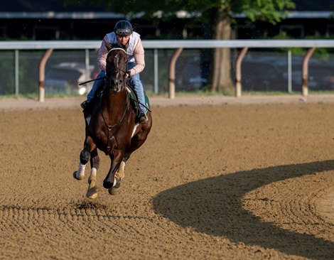 Into Mischief, Gun Runner Deliver at The Saratoga Sale - BloodHorse