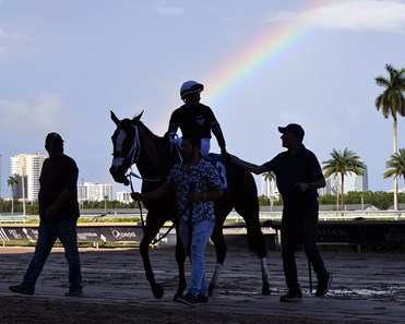 Le Amazonia - Horse Profile - BloodHorse