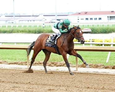 Front Runnin - Horse Profile - BloodHorse