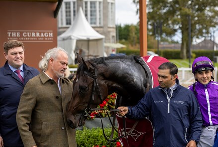Hawk Mountain (IRE) - Horse Profile - BloodHorse