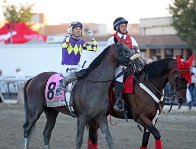 Baeza - Horse Profile - BloodHorse