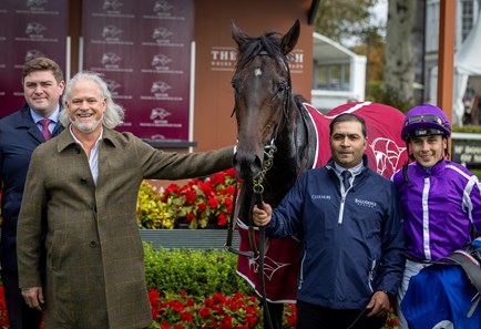 Hawk Mountain (IRE) - Horse Profile - BloodHorse