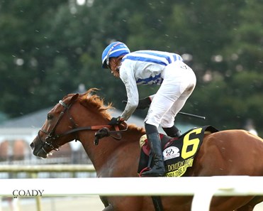 World Beater - Horse Profile - BloodHorse