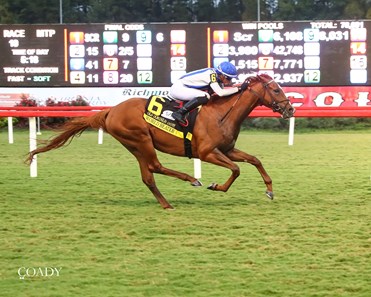 World Beater - Horse Profile - BloodHorse