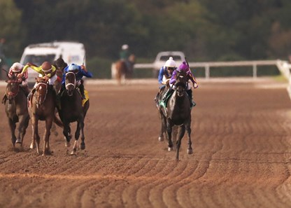So There She Was - Horse Profile - BloodHorse