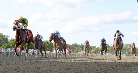 Mad House - Horse Profile - BloodHorse