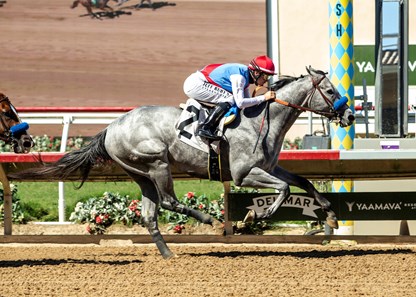 Brant - Horse Profile - BloodHorse