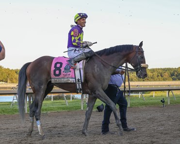 Baeza - Horse Profile - BloodHorse