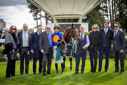 Diamond Necklace (IRE) - Horse Profile - BloodHorse