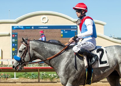 Brant - Horse Profile - BloodHorse