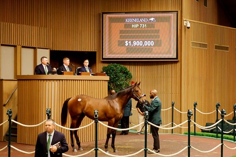 Gun Runner Colt Rolls Late to $1.9M at Keeneland - BloodHorse