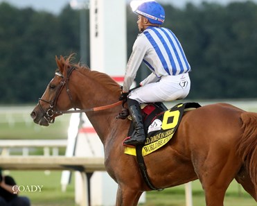 World Beater - Horse Profile - BloodHorse