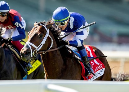 Stark Contrast - Horse Profile - BloodHorse