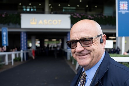 Powerful Glory (IRE) - Horse Profile - BloodHorse