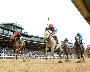 Hit Show - Horse Profile - BloodHorse