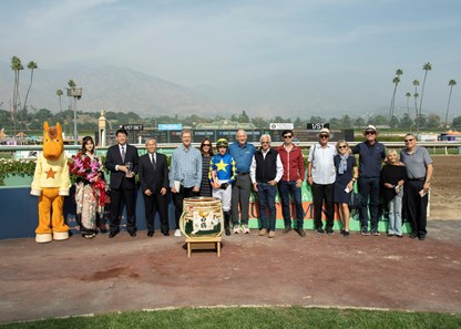 Privman - Horse Profile - BloodHorse