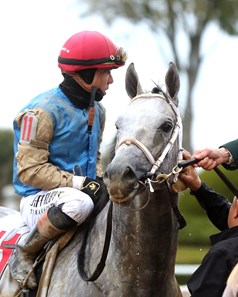 Hit Show - Horse Profile - BloodHorse